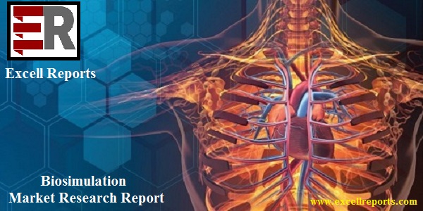Biosimulation Market: New Business Opportunities & Investment Research ...