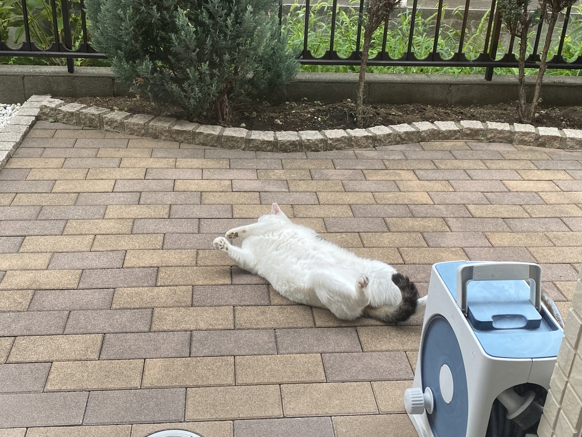 政宗日記（2） - FairWind-Weblog