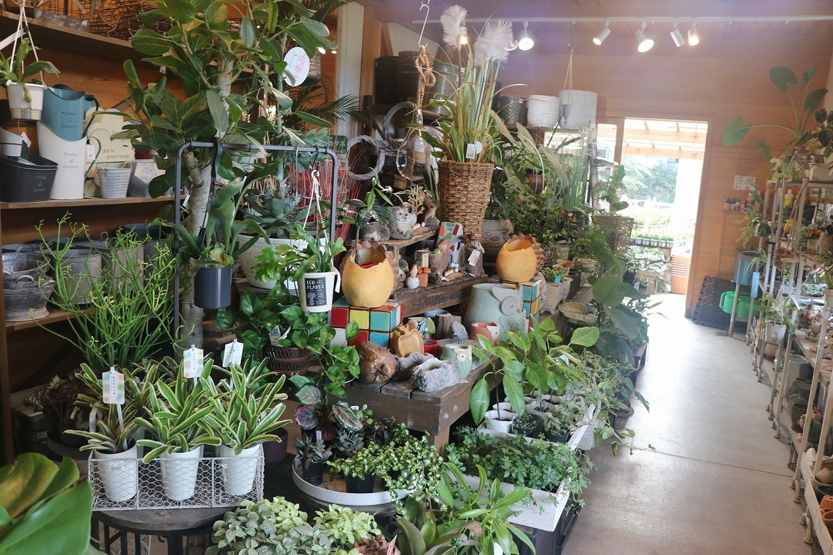 9月5週目の仕入れ！ 室内編！ - GP-Yamacho