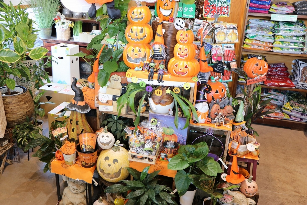 9月5日！！ ハロウィン雑貨入荷しました！！！(^_-)-☆ - GP-Yamacho