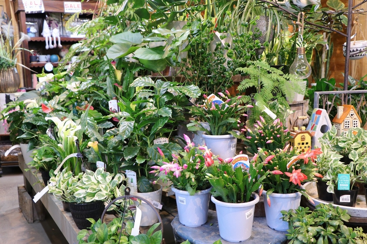 10月9日！ 本日セール最終日です！！ 全品20％OFFは今日まで！！ - GP-Yamacho