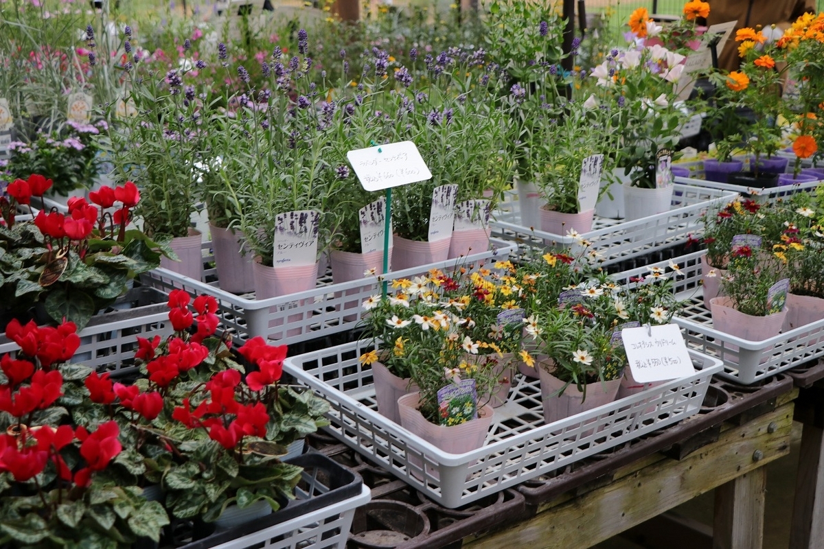 10月9日！ 本日セール最終日です！！ 全品20％OFFは今日まで！！ - GP-Yamacho