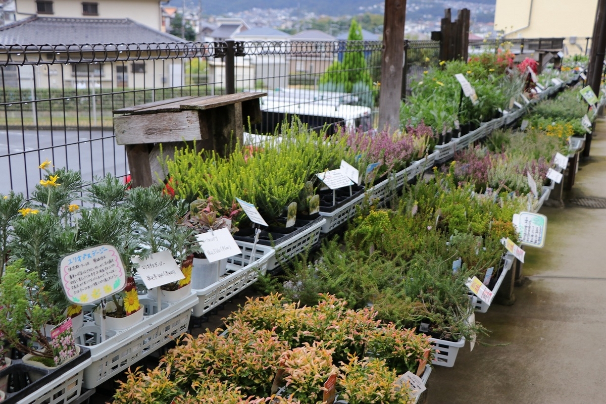 10月9日！ 本日セール最終日です！！ 全品20％OFFは今日まで！！ - GP-Yamacho