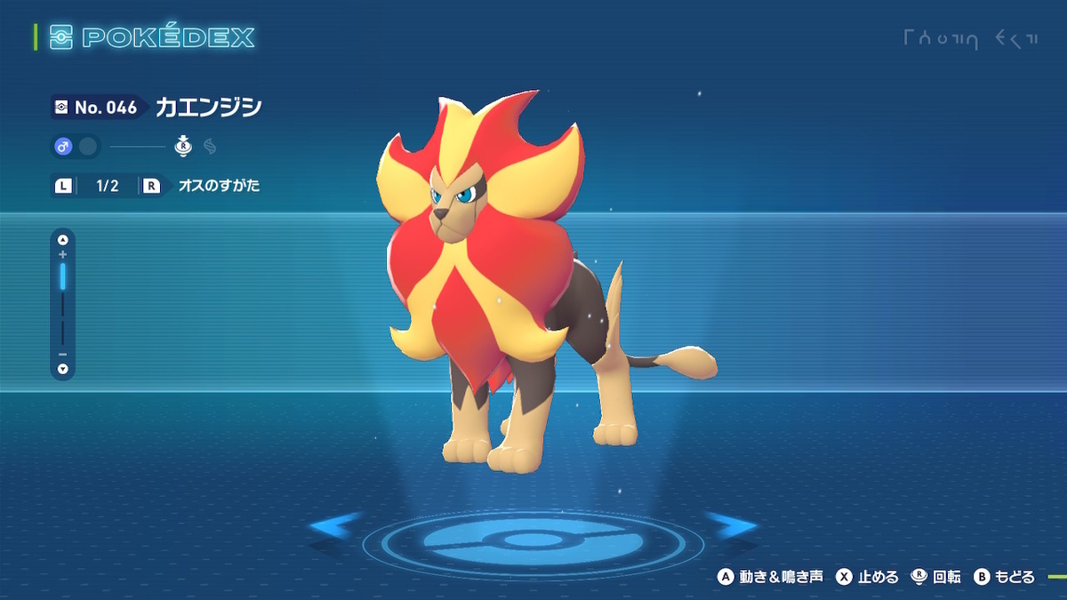 ポケモンZAに登場するポケモンのオスとメスの違いをまとめてみました。 - Gocom’s Game Note
