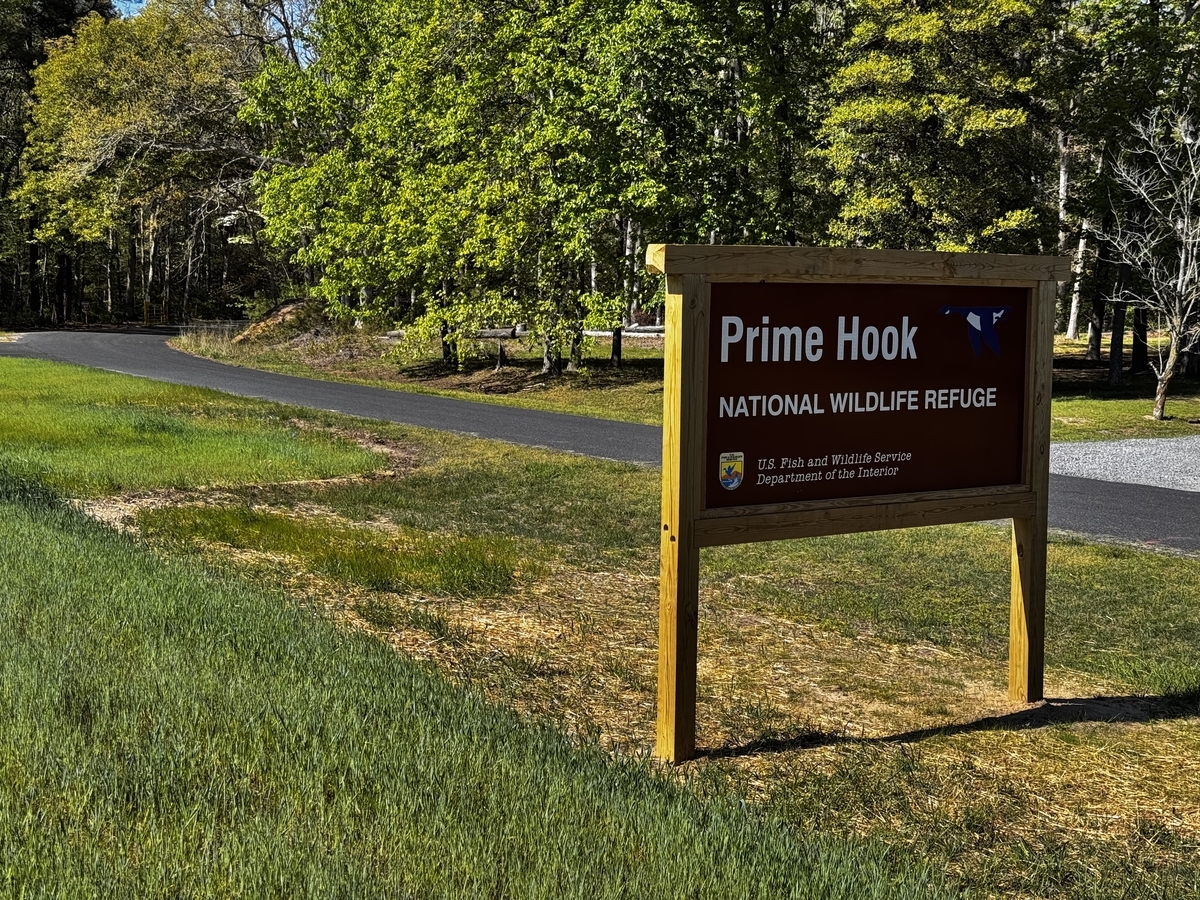 デルマーバ半島「星・鳥見」遠征記 ③Prime Hook編 - 山と写真と毎日と