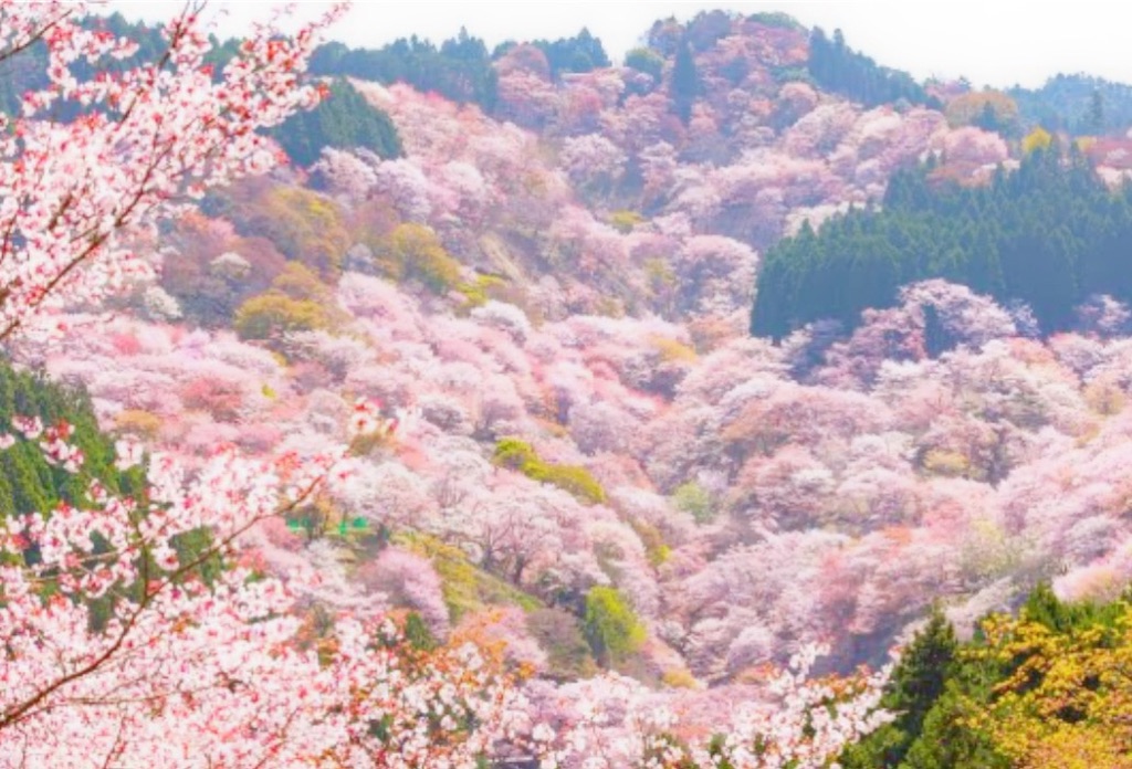 私が見たあの世 - ひえみのスピ活用 かるーくかるーく