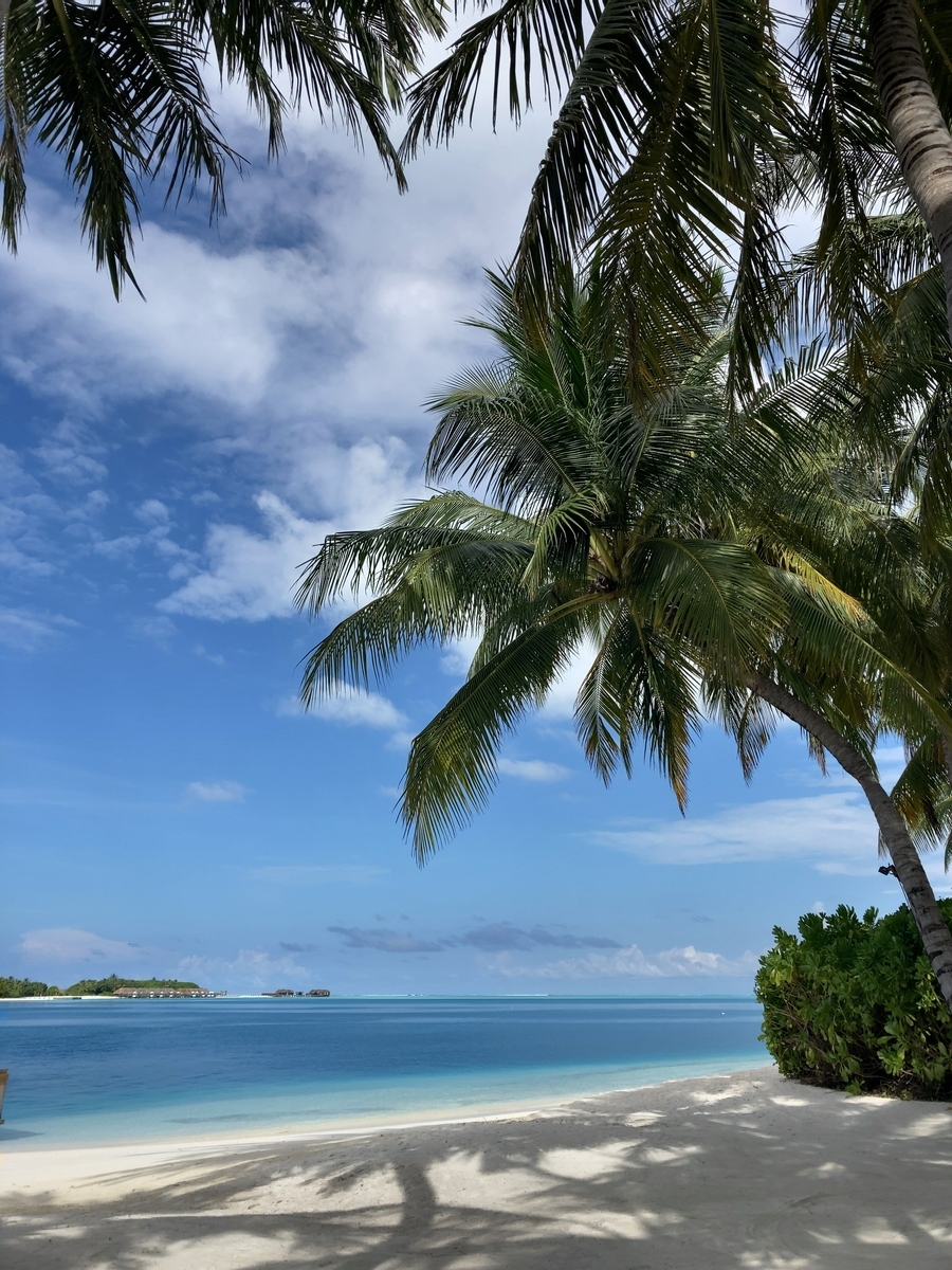 The perfect island！地上の楽園に行ってきました-Maldives#1- / A&A＃451 - Heartwood ...