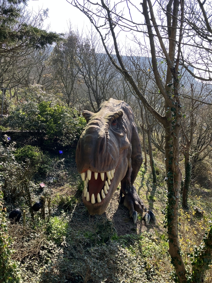 ワイト島 Isle of Wight 旅行 2023 イースター - Hadama の 台所 in the UK