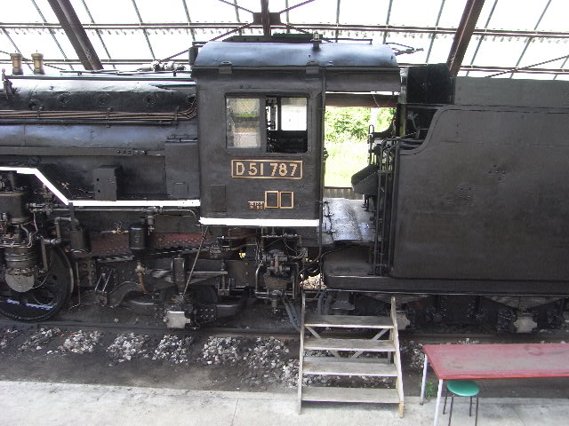 250 D51787 - Hamalinの日記