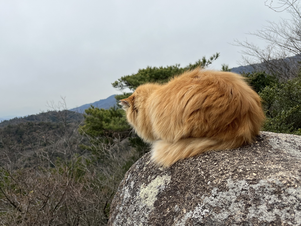 久しぶりに、荒地山に登りました - Hanamaru blog