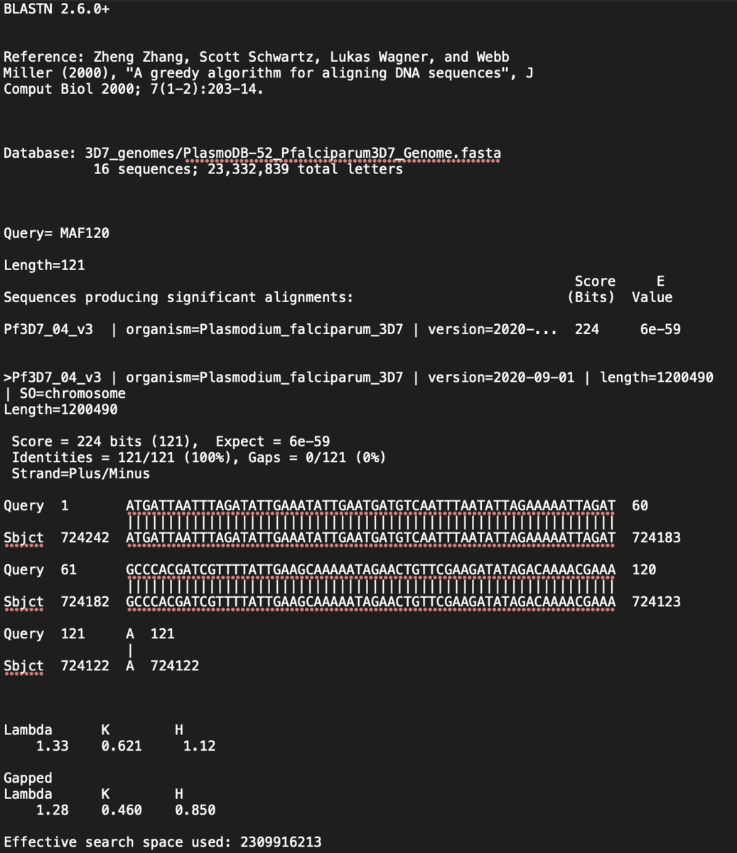 Local blastの使い方 [blastn] - バイオインフォマティクスでゲノムワイド関連解析（GWAS)