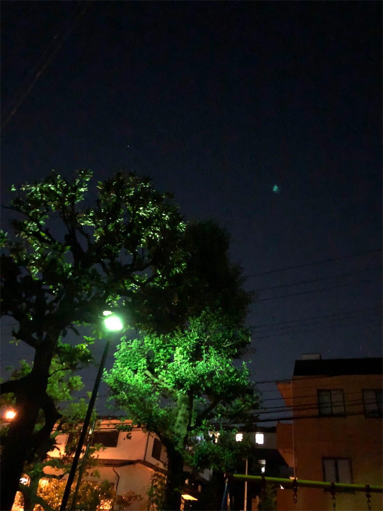 I_am_Nobutoshi