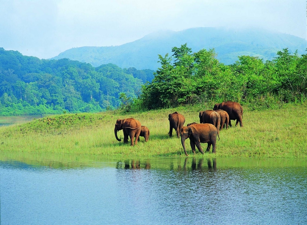 3 Reasons To Visit Kerala To Cherish The Perfect Family Holiday ...