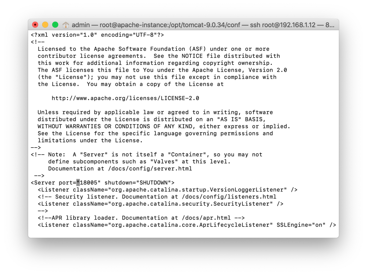 Tomcatを複数起動（複数インスタンスを構成）する - 77Lifeworkベータ版