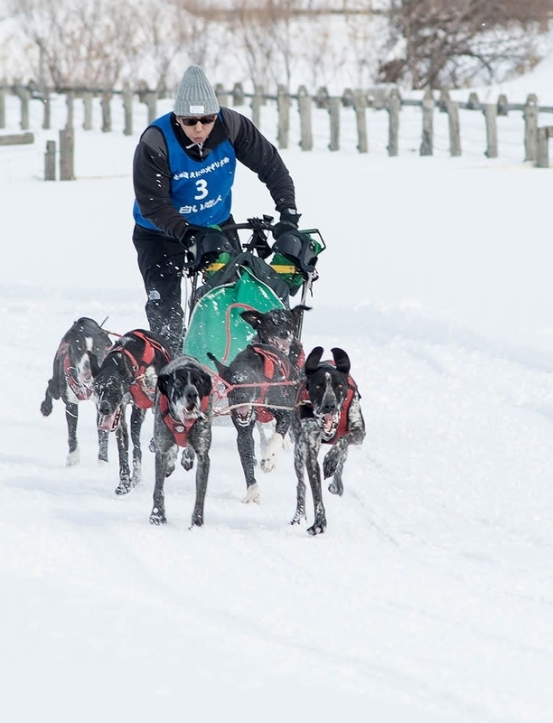 A Happy Happy New Year 2018 - 無線のムに濁点 JH8RZJ