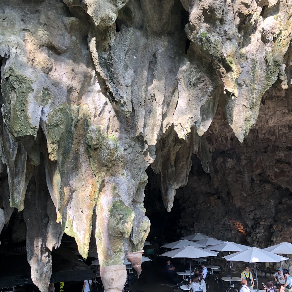 沖縄のガジュマルを見に行ってみた - JJblog’s blog