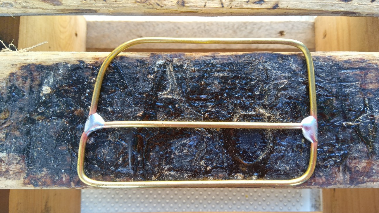 💝コールサイン 🌷アンテナ ️エレメント🌼 - JS3MXPの日記