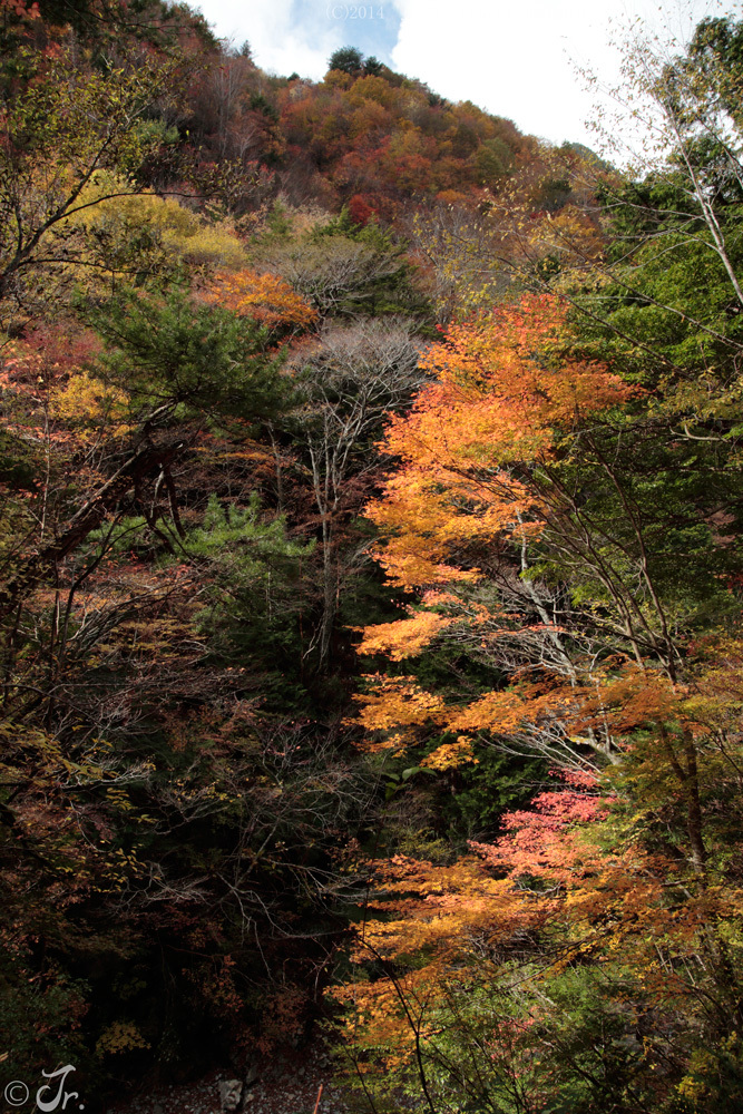 R309を巡る。 part 2 - To a supreme angle of view!