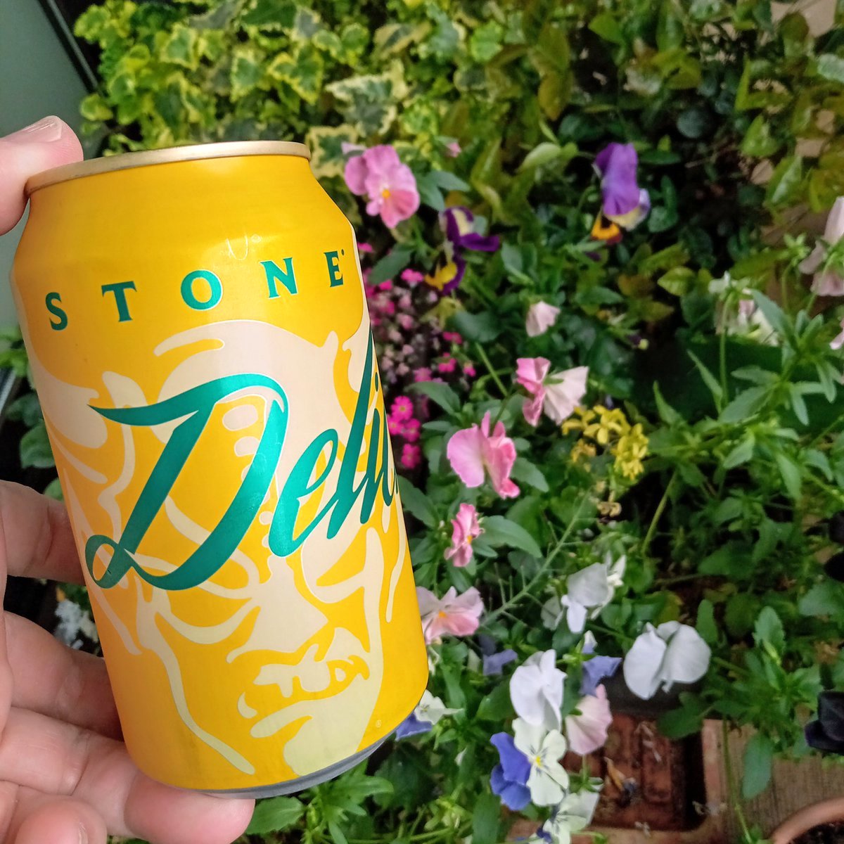 Stone - Delicious Citrus IPA - 芳しき危険な黄金色