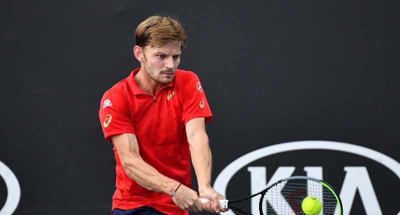 David Goffin - ATP Players