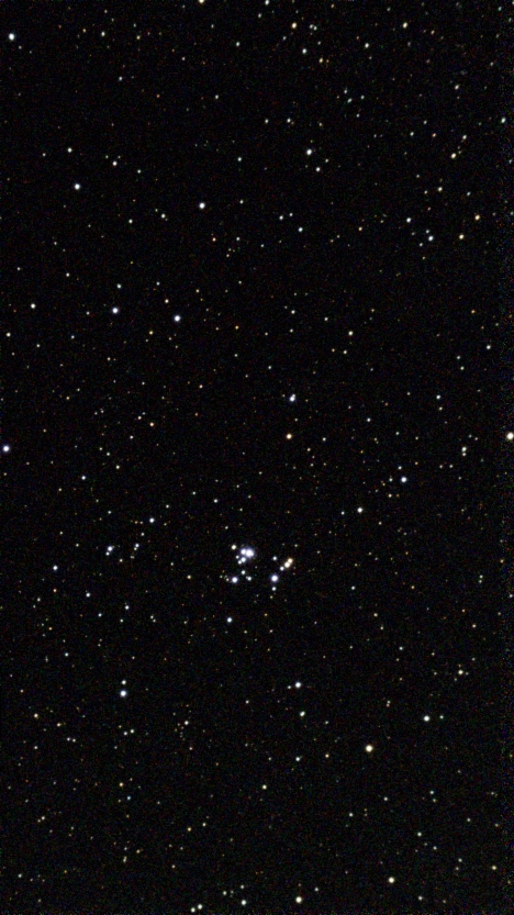 「散開星団NGC2169」の撮影 2024年11月12日(機材：ZWO Seestar S50) - Kochab の星見日記