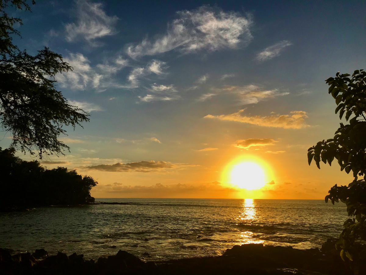 ハワイ語辞書 #8 Nā Puke Wehewehe - KonaHawaiiのブログ