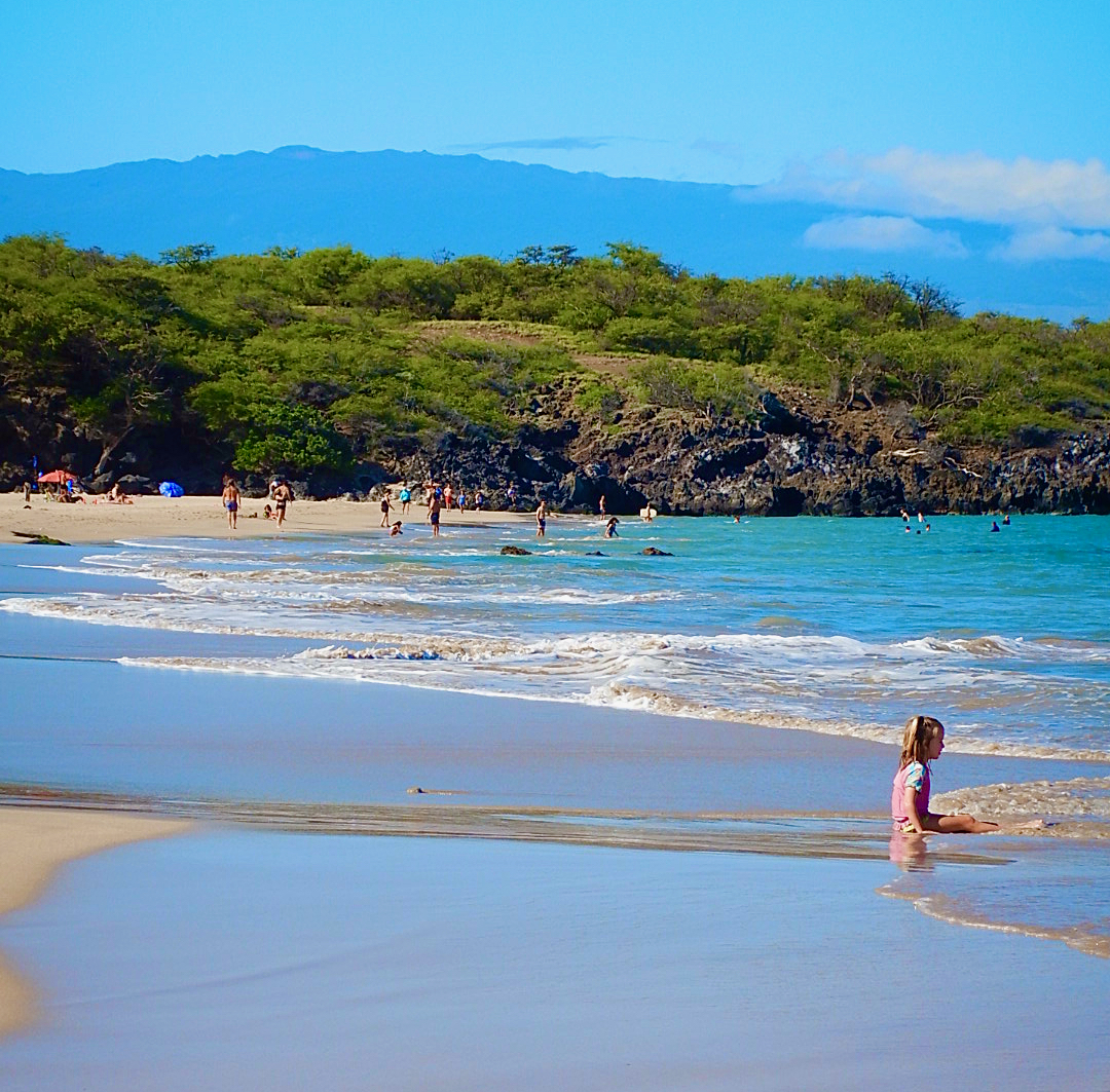 ハワイ語辞書＃9 Nā Puke Wehewehe - KonaHawaiiのブログ