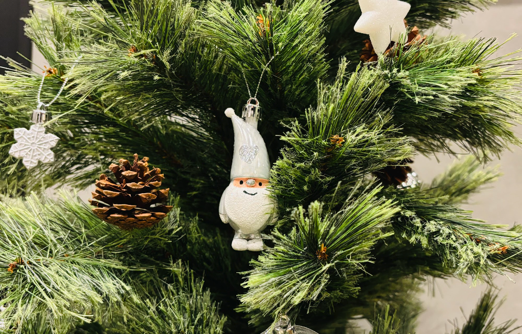 2024/11 振り返り - Binary Diary