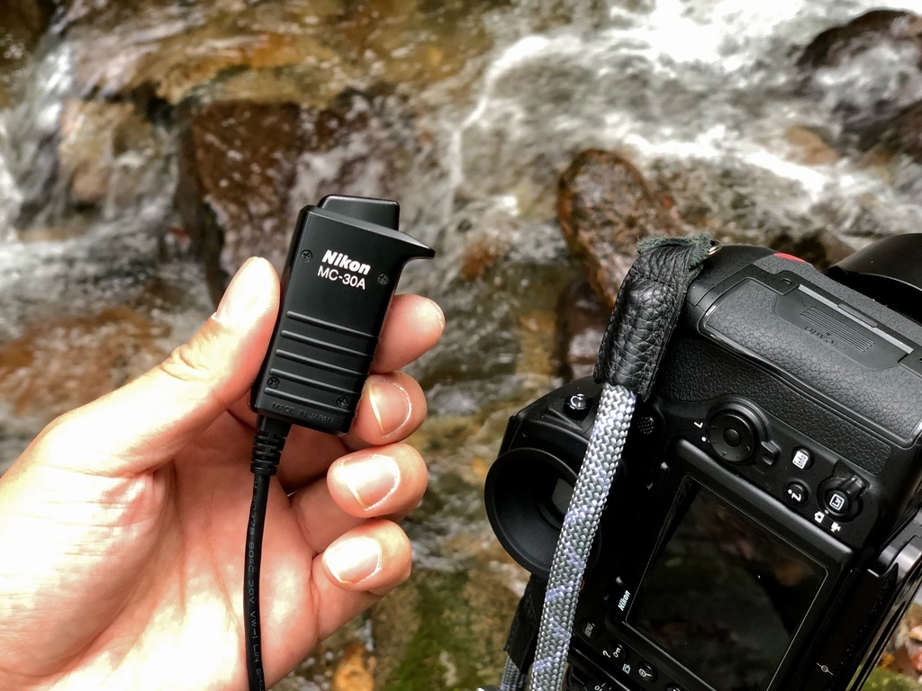 【新品】 ニコン レリーズ sushitai.com.mx