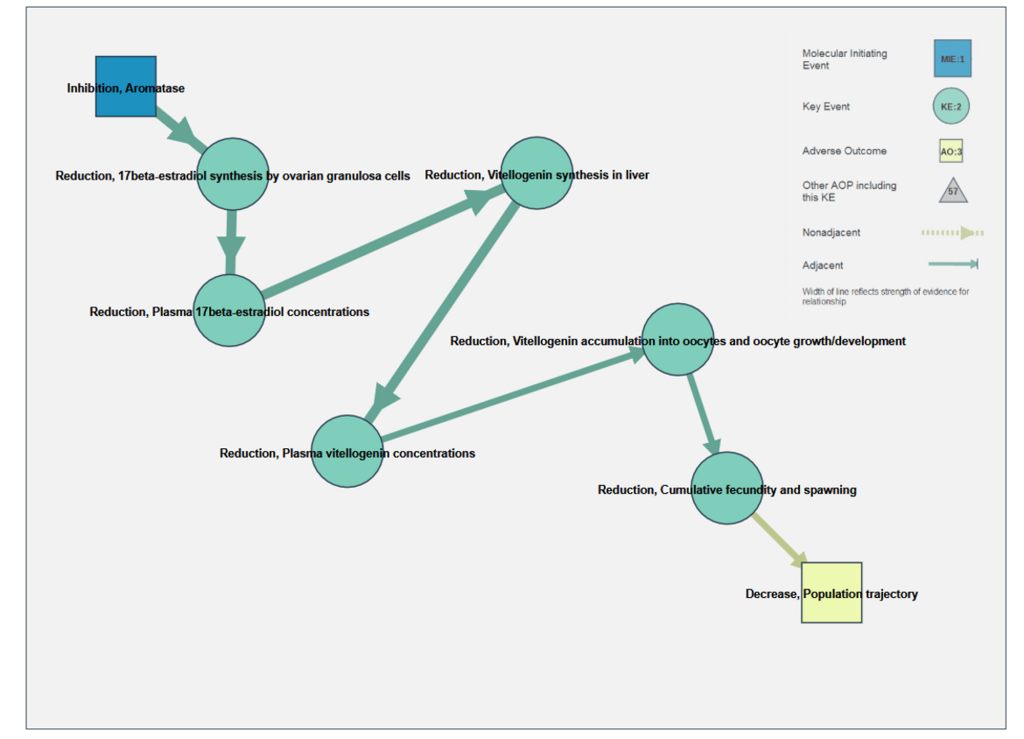 論文のメモ: AOP Networkについて - 備忘録 a record of inner life