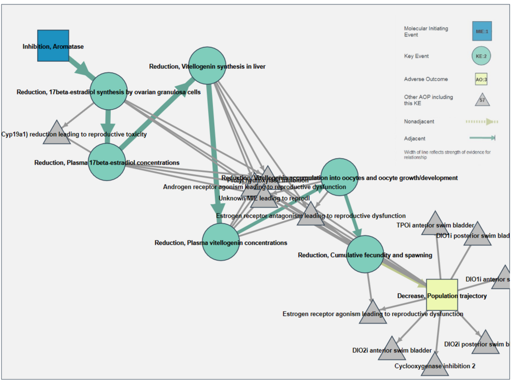 論文のメモ: AOP Networkについて - 備忘録 a record of inner life