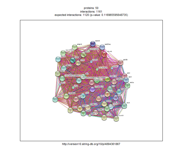 STRINGdbを用いたPPIネットワーク解析 - 備忘録 a record of inner life
