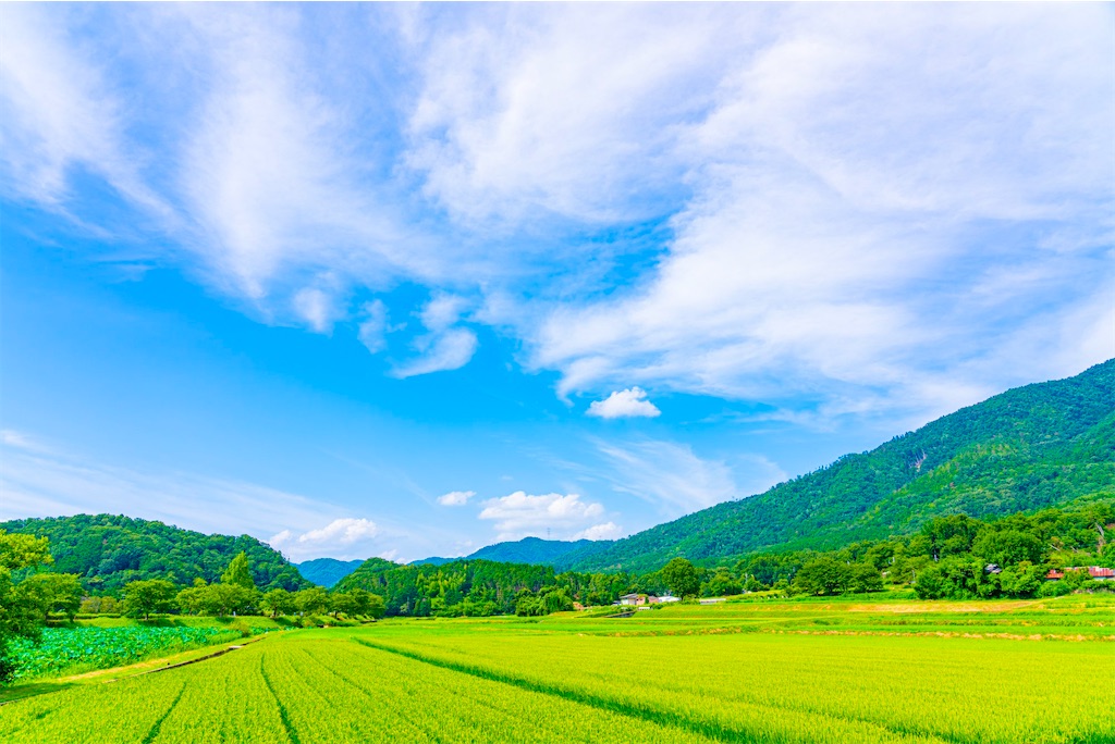 LINKcommunity’s diary