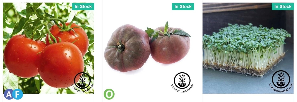 The Difference Between Hybrid and Non-Hybrid Seeds - LocalShoppingClub ...