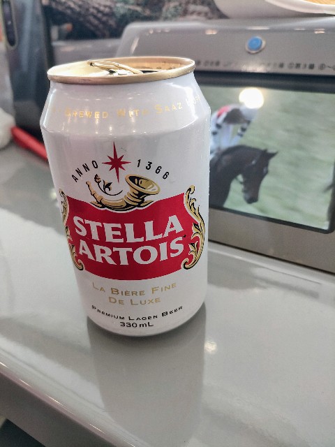 DAY488 「連闘2日目」 - 6.01%で54歳Lean FIRE