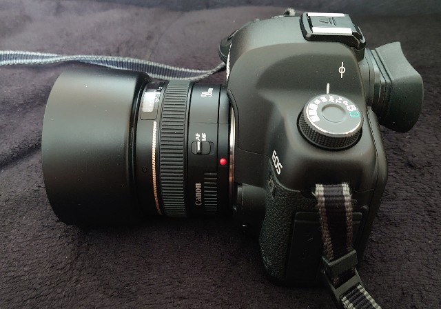 EF50/1.4USMとEF50/1.8STM - M32camera_lovelike