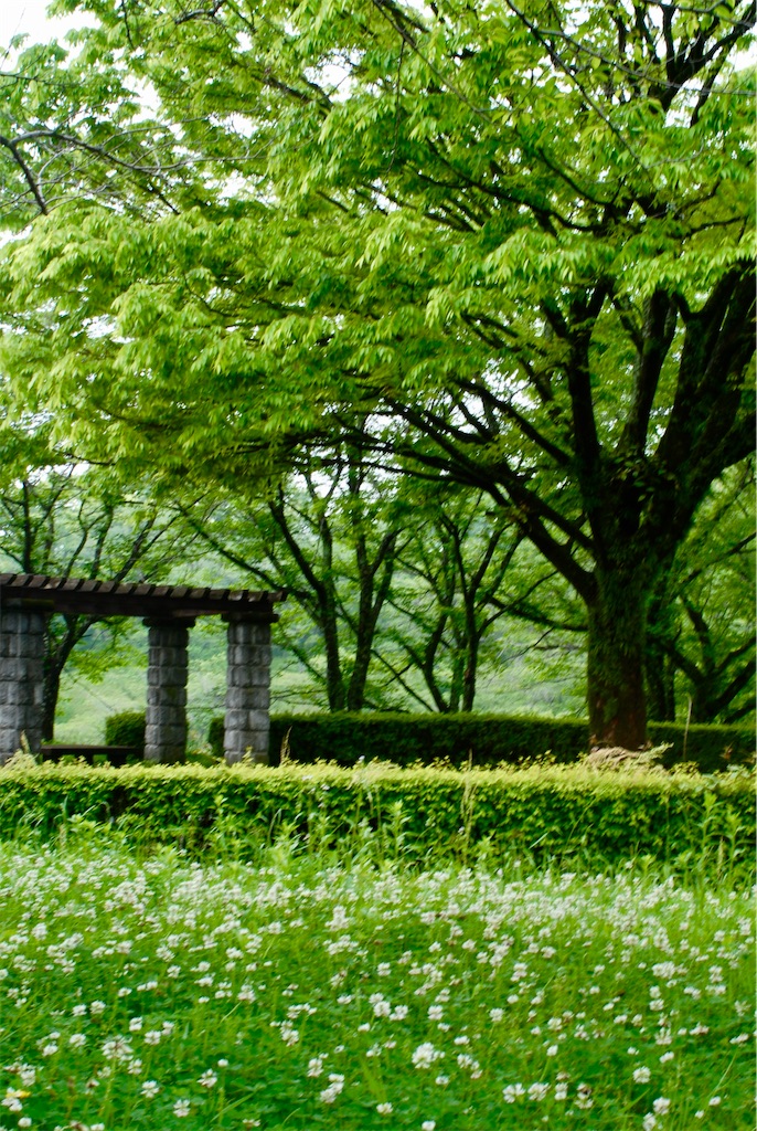 GW初日 - M32camera_lovelike