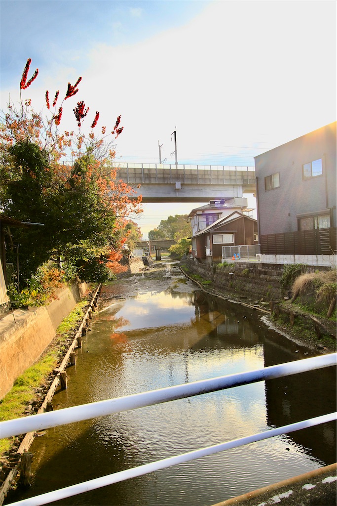 街中散策〔3〕 - M32camera_lovelike