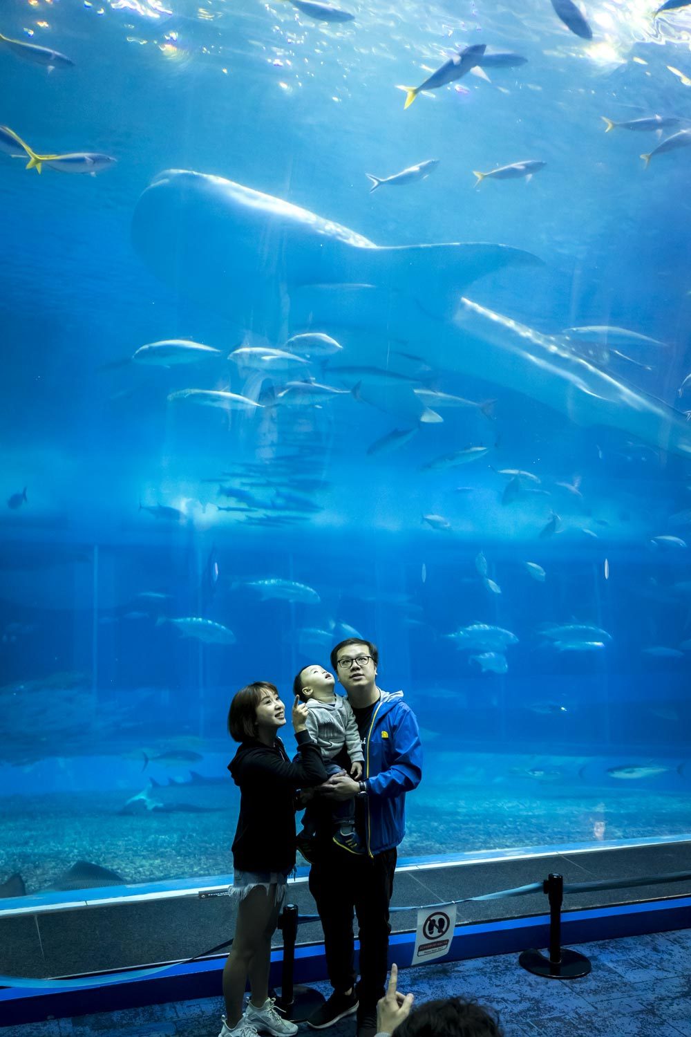 8x10の大判デジタルカメラ LS911 誰が使うんだ？ - 天界入路