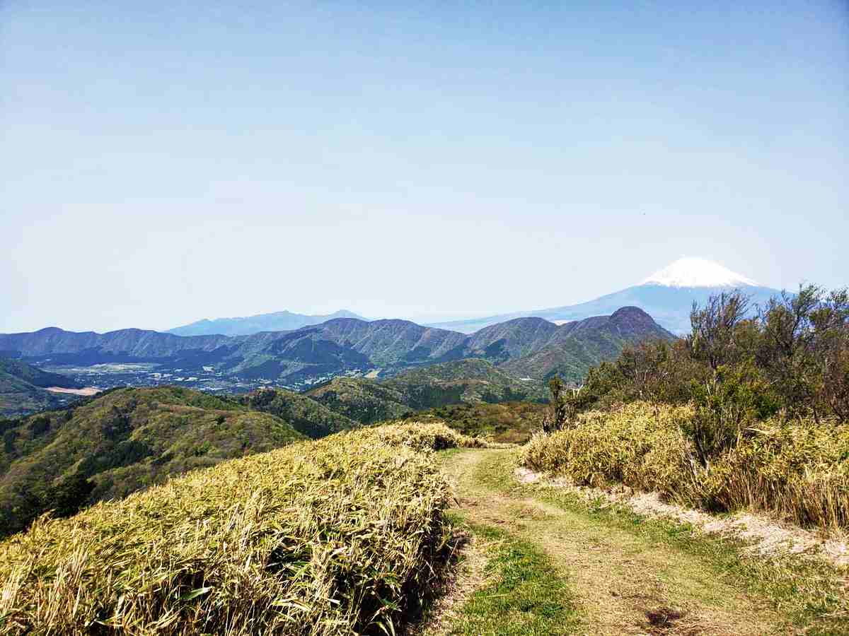 今月の走行距離を修正💦 - Days of Guitar and Run