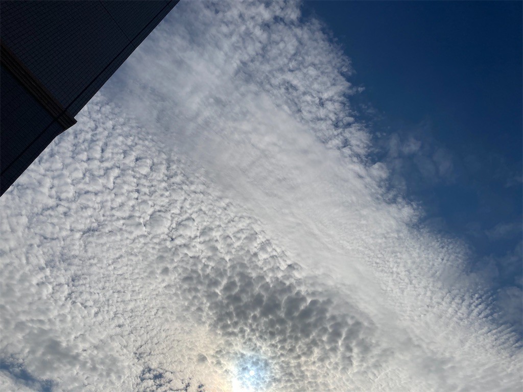 映画『37seconds／37セカンズ』★★★★★ - ほらほらコーヒーが冷めちゃってるよ 2