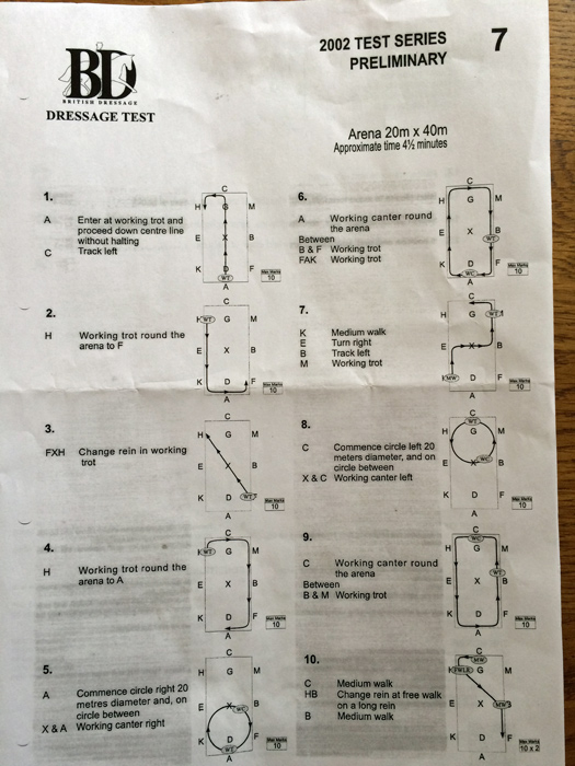 校内のイースター（ファン）ドレッサージュ BD PRELIMINARY 7 - ManSteflat Diary