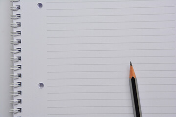 個別「20240404043408」の写真、画像 - Motoki_HSP's fotolife