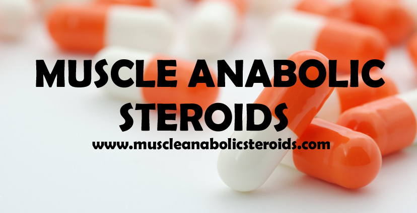 What Are Anabolic Steroids And How Do They Work ...