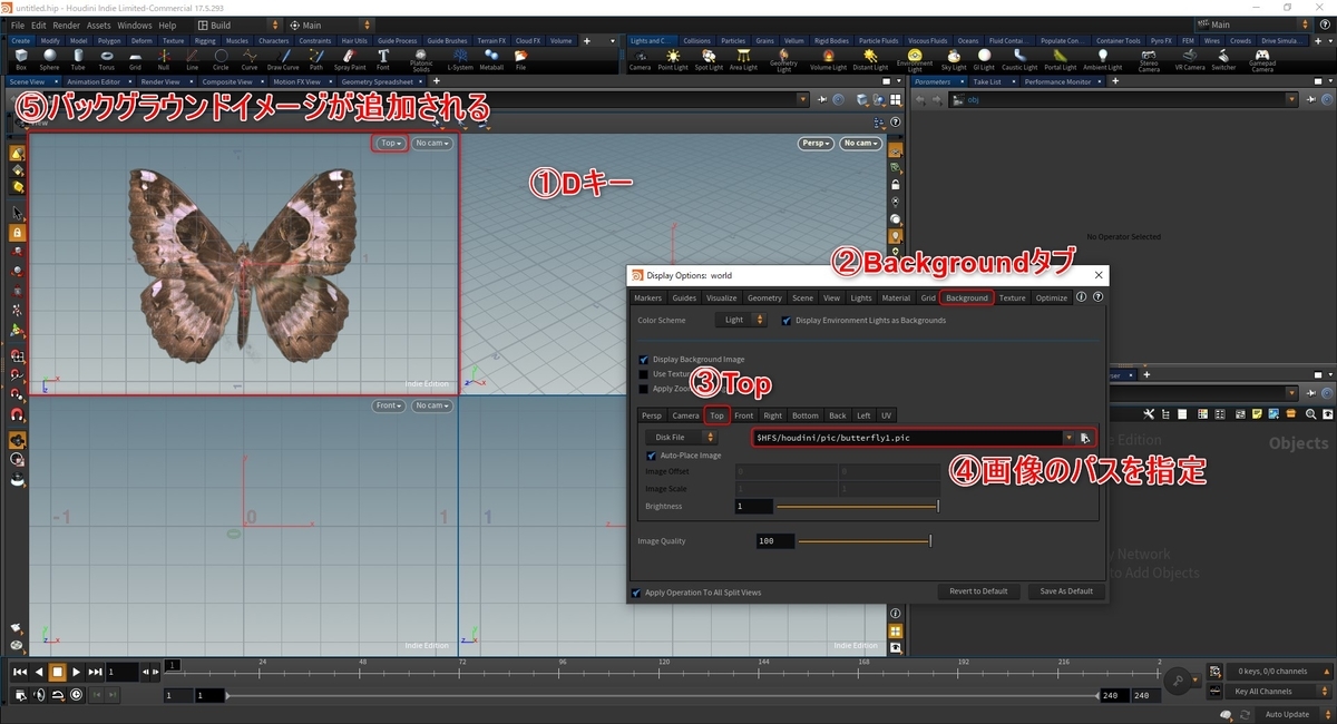 Houdini バックグラウンドイメージの追加：ショートカット：Dキー（Display Options:worldウィンドウ ...