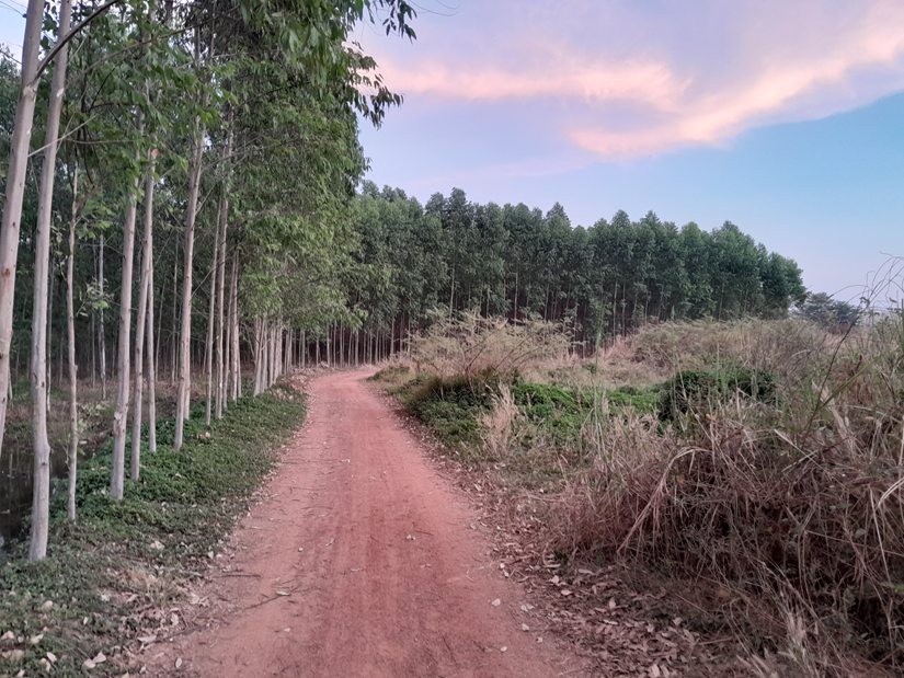 最近の散歩コース - NKen’s diary