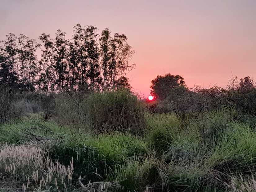 夕日がきれいです - NKen’s diary