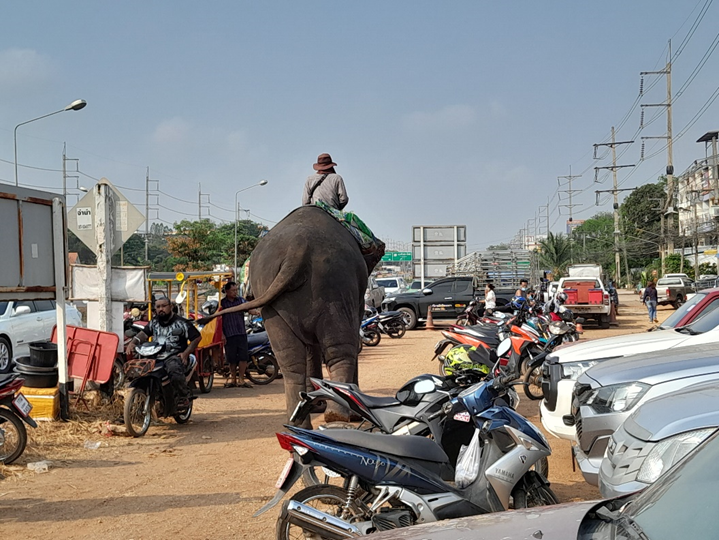 日曜日 - NKen’s diary