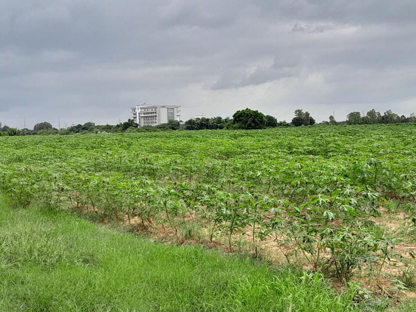 軽く運動2024年9月8日 - NKen’s diary