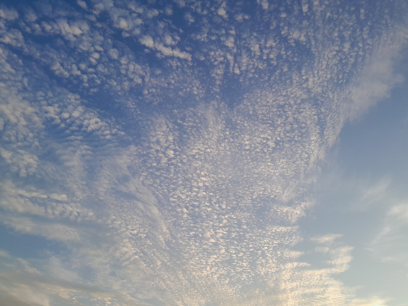 綺麗な雲に引かれて2025年2月26日 - NKen’s diary